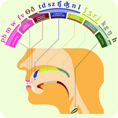 IPA Symbol Search Tool